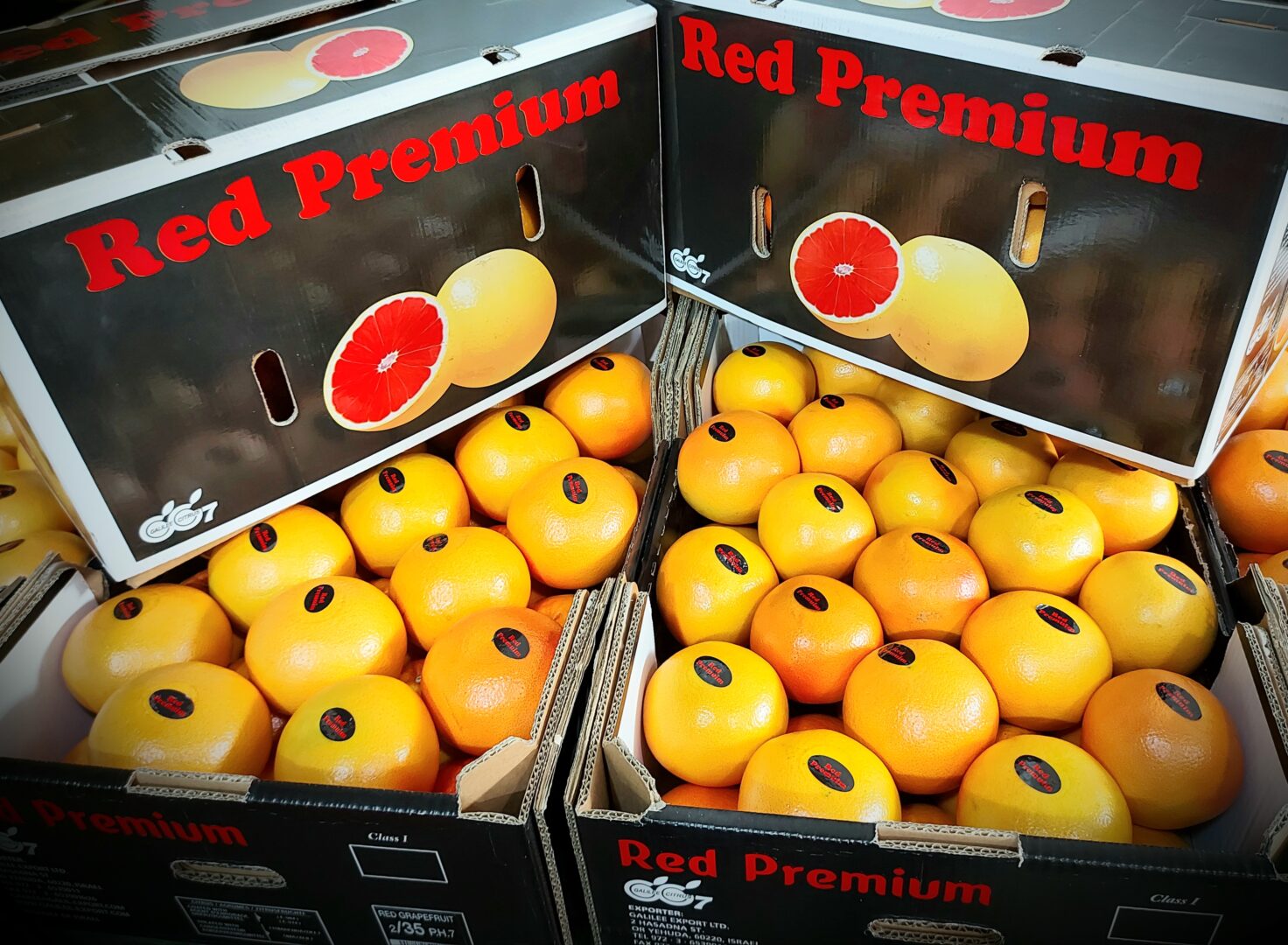 New grapefruit brand in Israel - Galilee | Direct from the field