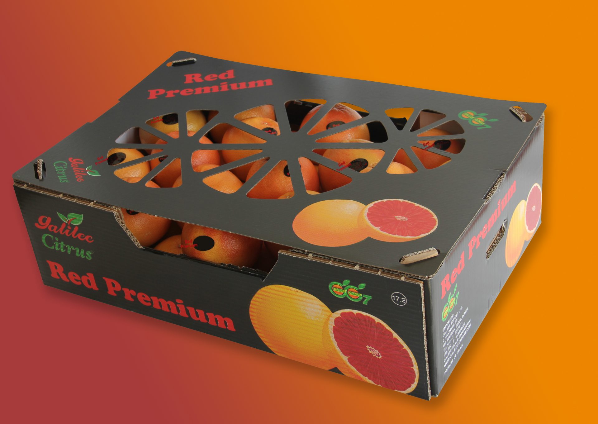 New red grapefruit faring well - Galilee | Direct from the field